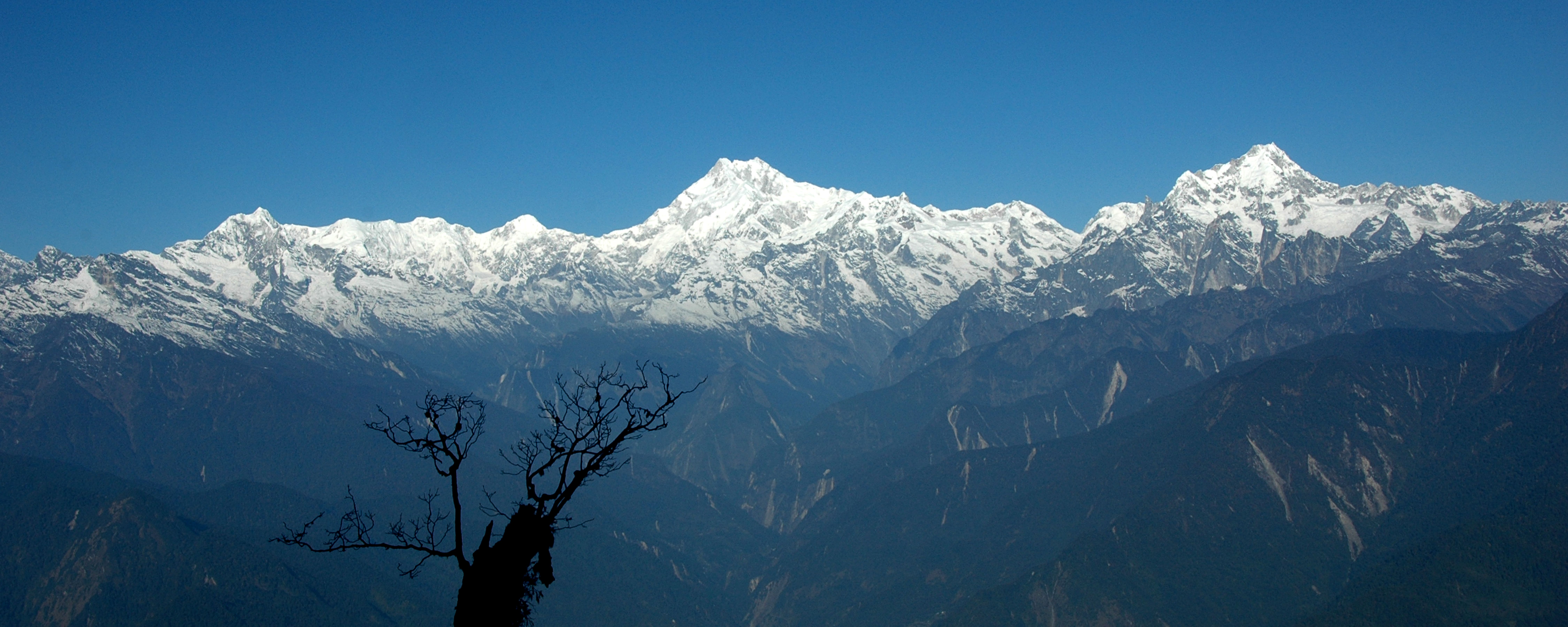 PlanningAndDevelopmentDepartmentUI